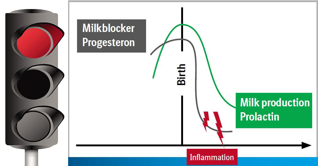 MILK FLOW - HORMONAL BLOCKING | Preventionworks.info